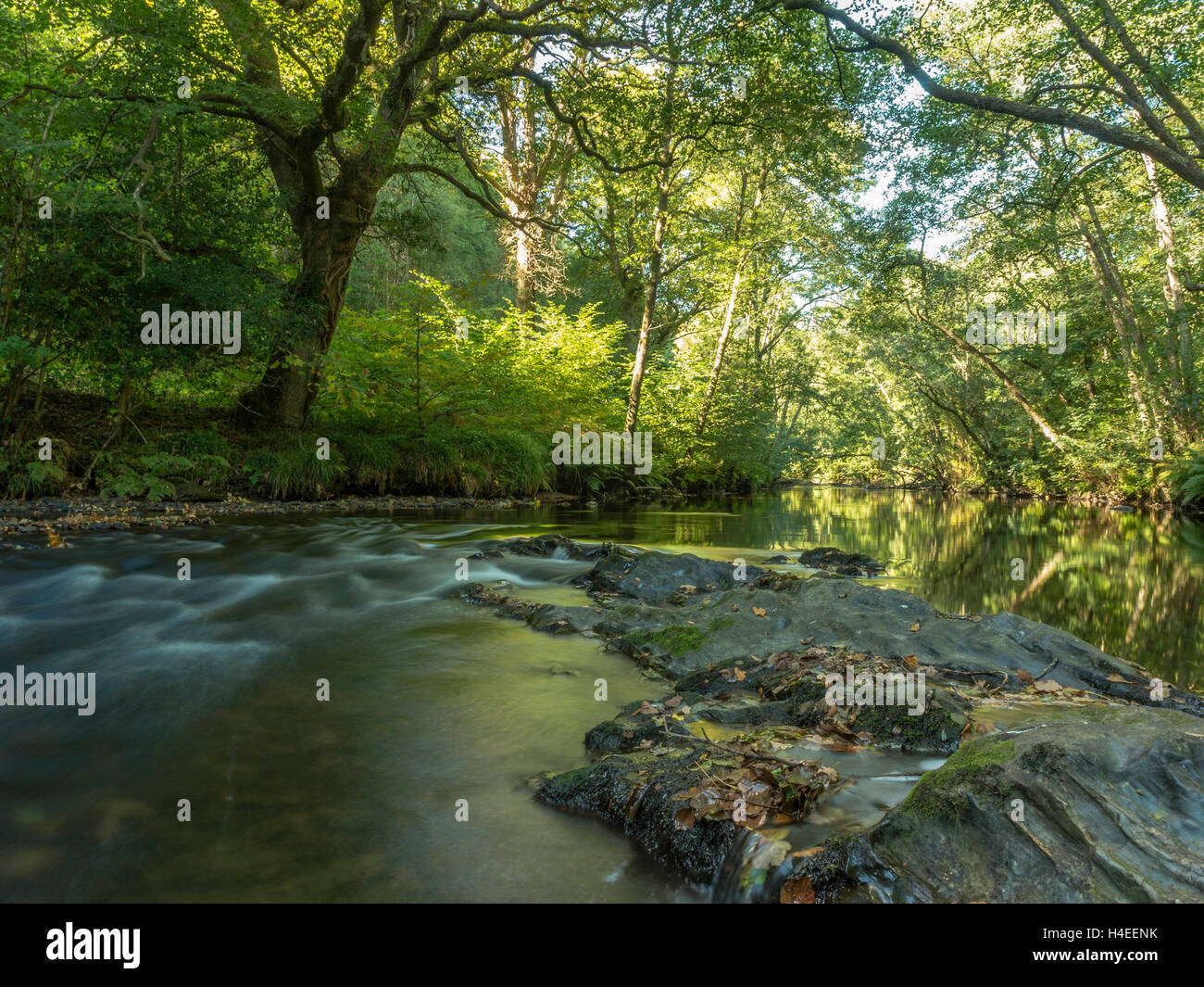 Landscape depicting the beautiful meandering river Teign, Devon on a ...
