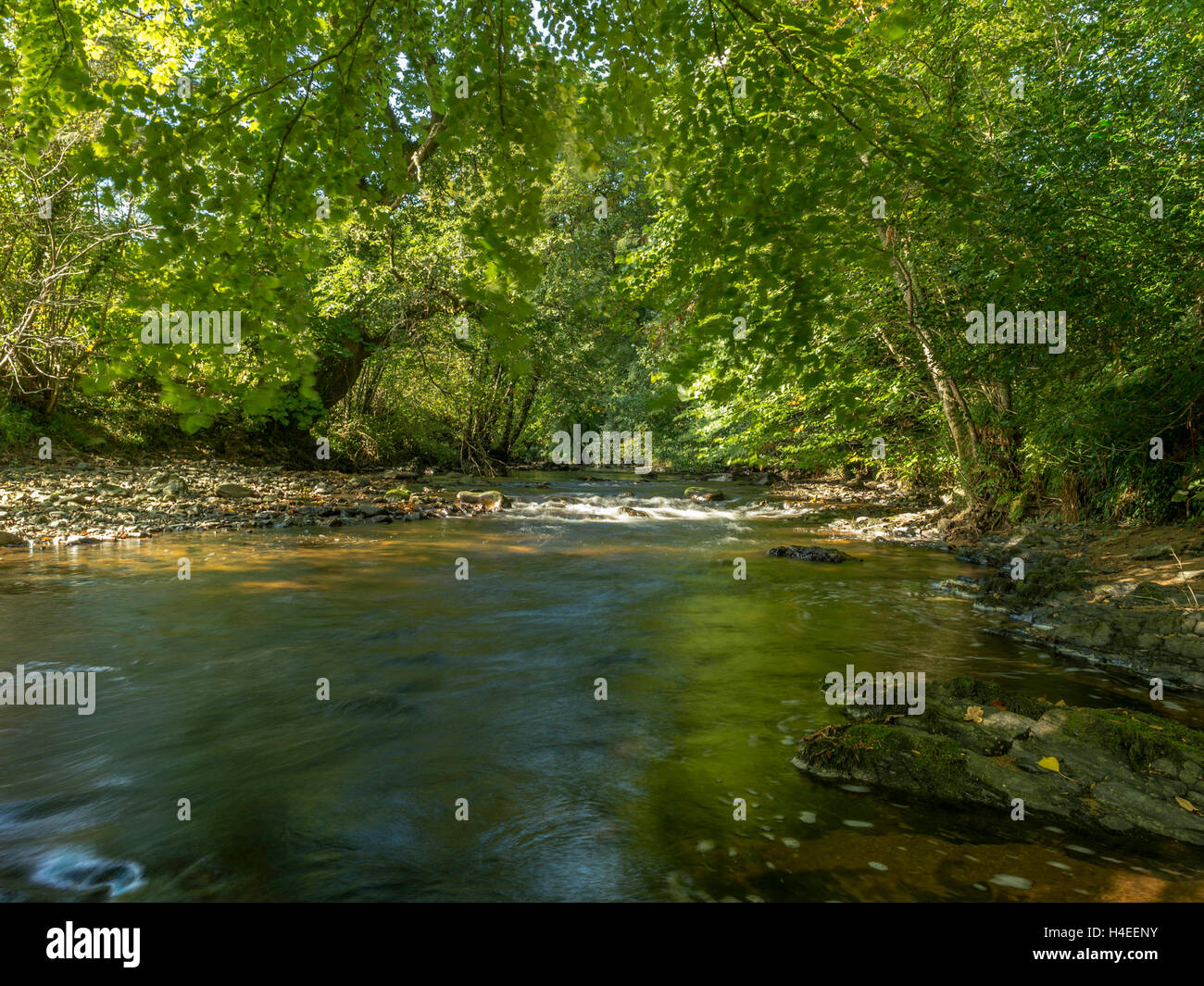 Landscape depicting the beautiful meandering river Teign, Devon on a ...
