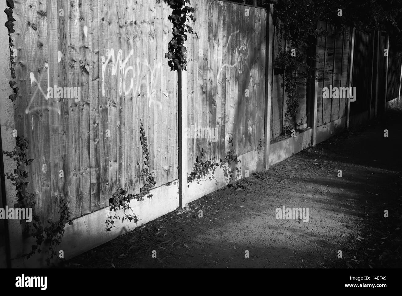 Quite back alley with creeper plants and graffiti on the fence, in ...