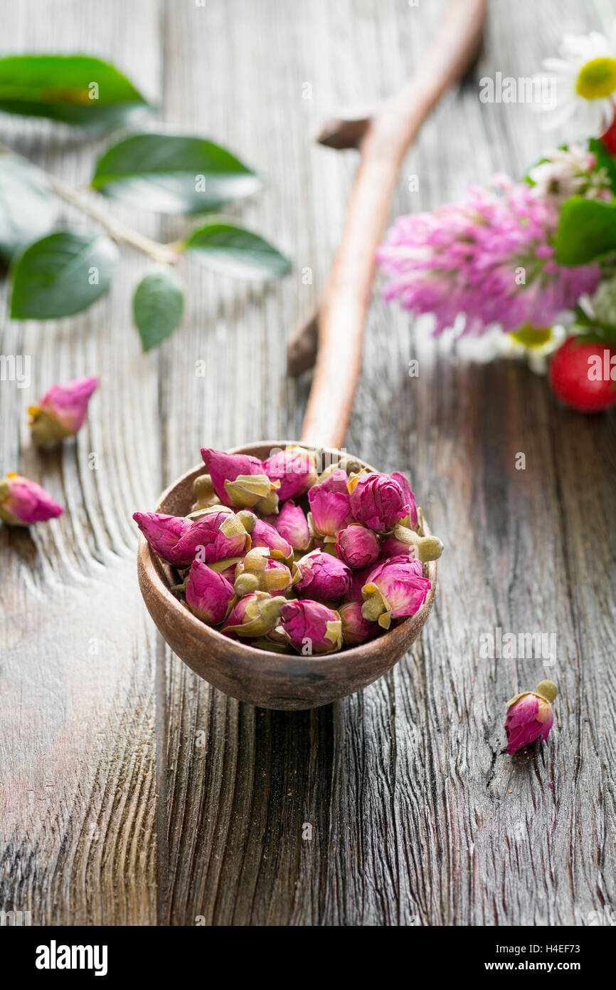 Dry flower rose tea buds in a wooden spoon. Concept of well-being ...