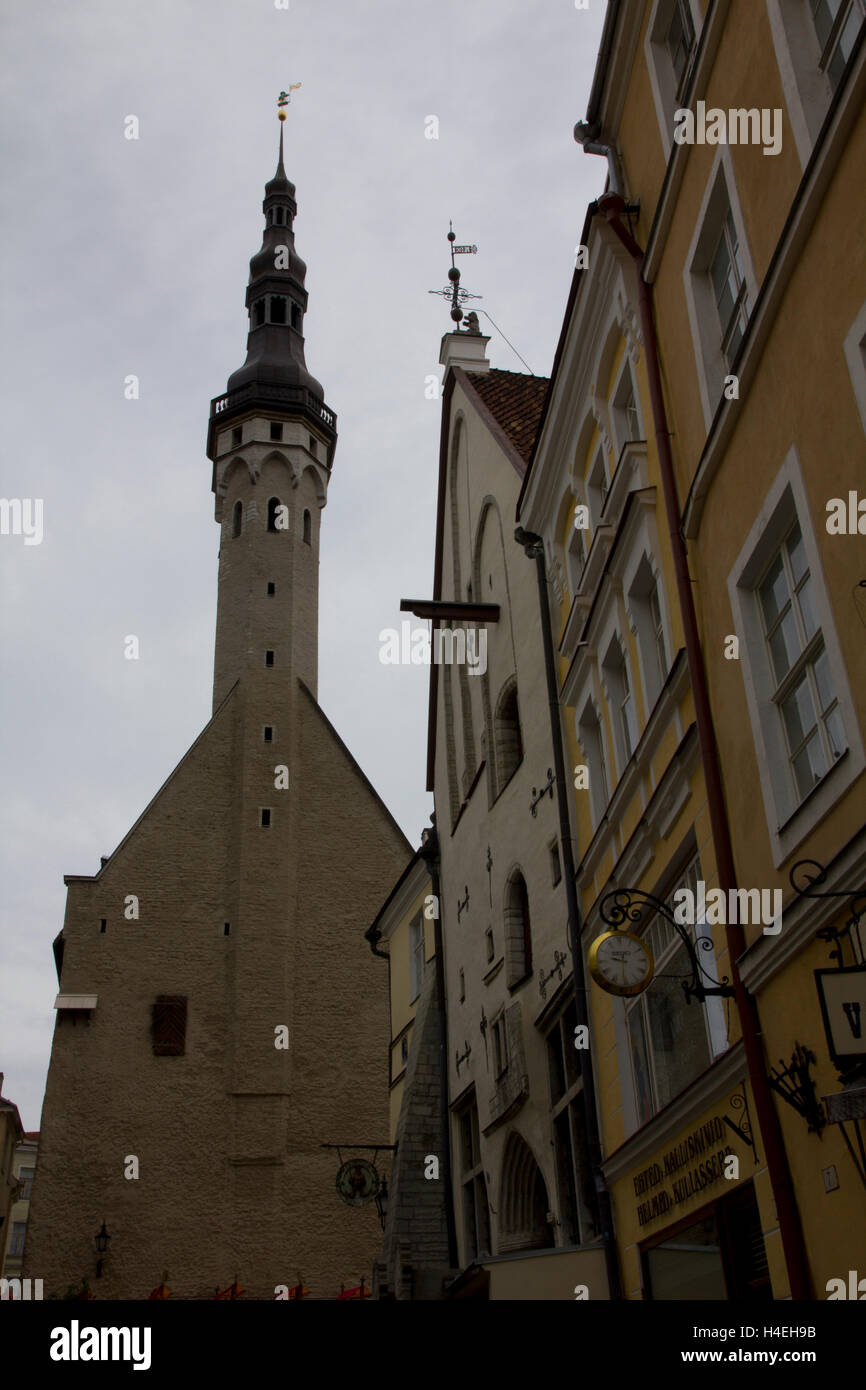 Dating to 1404, the towering Gothic-style Town Hall is the oldest of ...