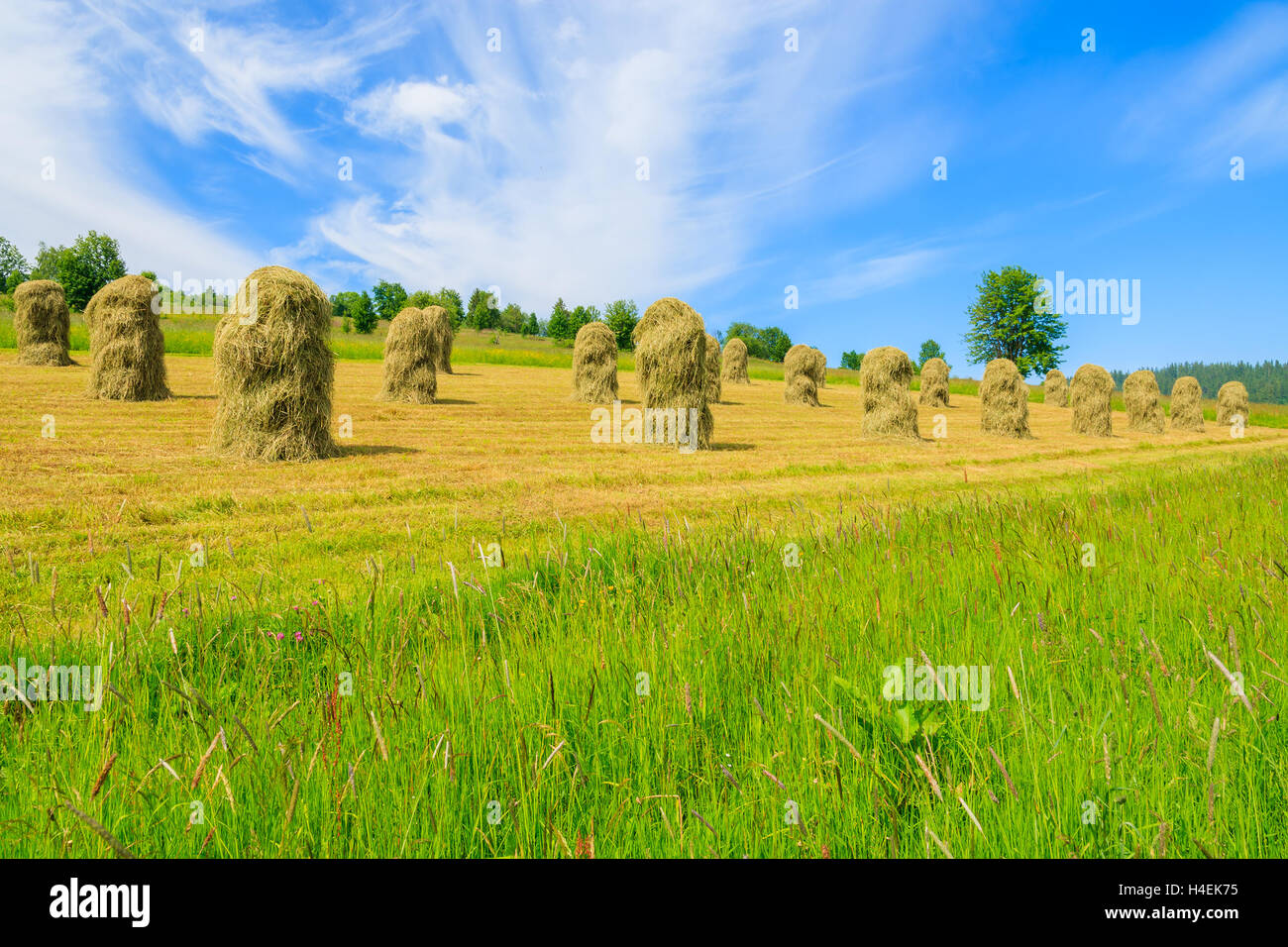 Hay landscape hi-res stock photography and images - Alamy