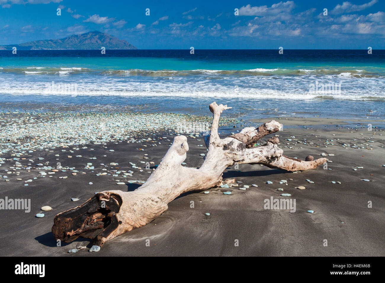 Trunk on the beach hi-res stock photography and images - Alamy