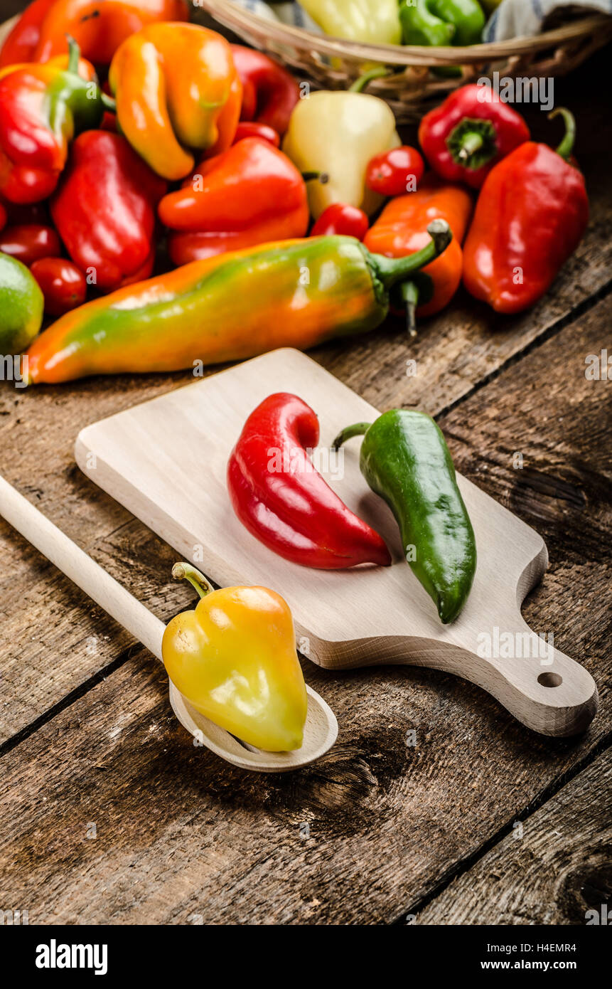 Bio peppers from the garden, various shapes and types Stock Photo - Alamy