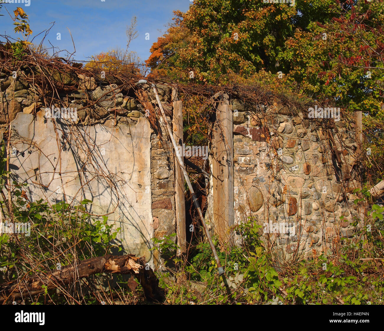 abandoned barn ruins Stock Photo - Alamy