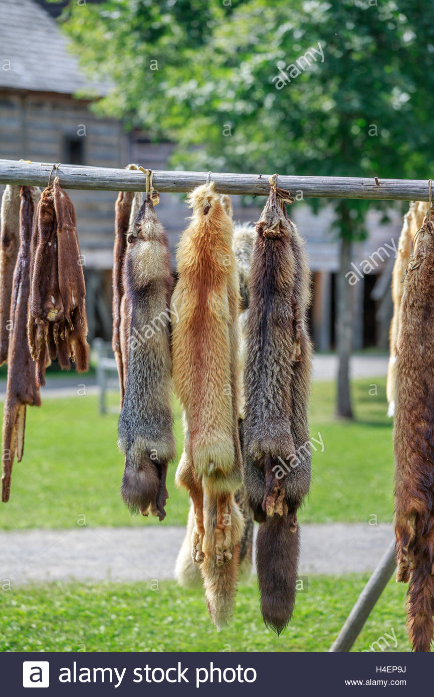Pelts Stock Photos & Pelts Stock Images - Alamy