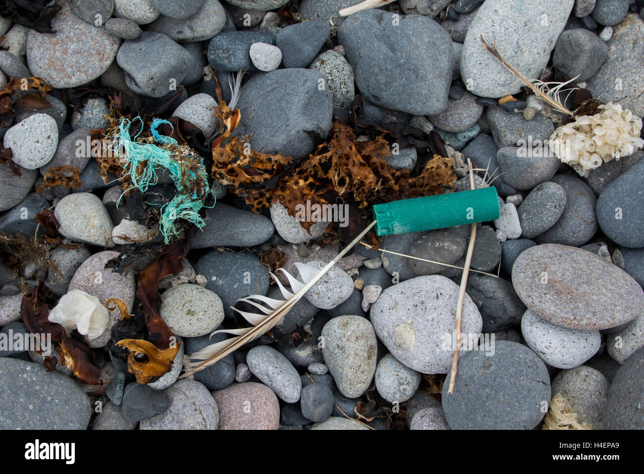 Alaska, Bering Sea, Alaska Maritime National Wildlife Refuge, St ...