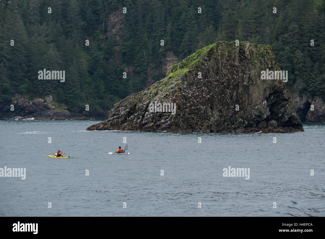 Alaska, Seward. Kenai Fjords National Park, kayakers in Resurrection ...