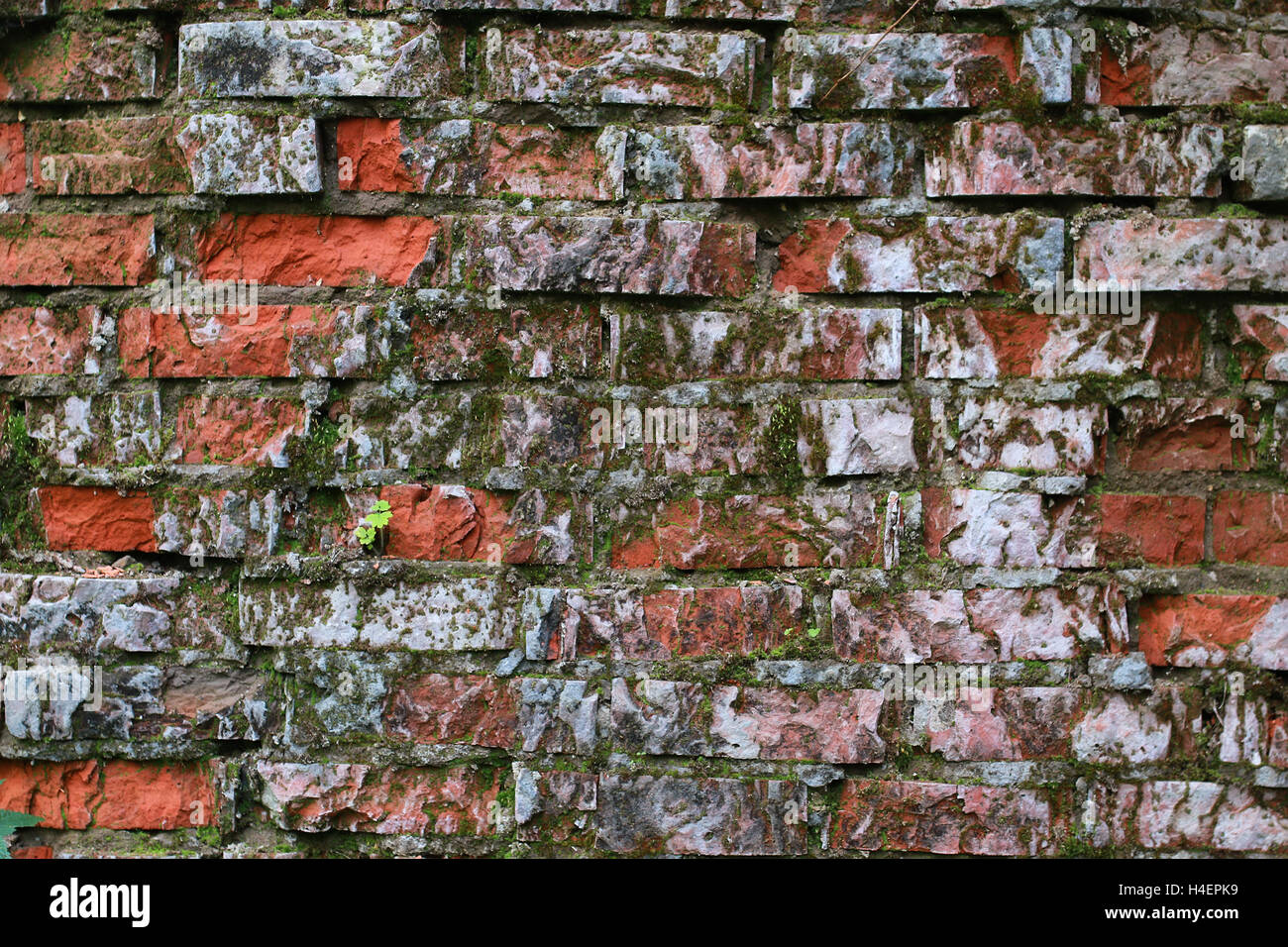 old red brick wall Stock Photo - Alamy