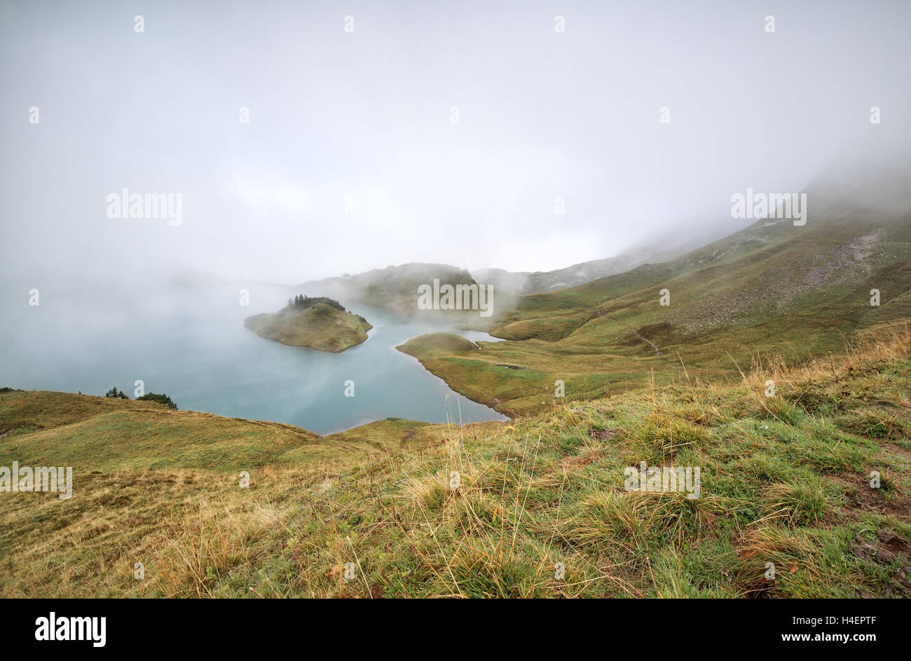 alpine lake in dense fog, Bavaria, Germany Stock Photo - Alamy