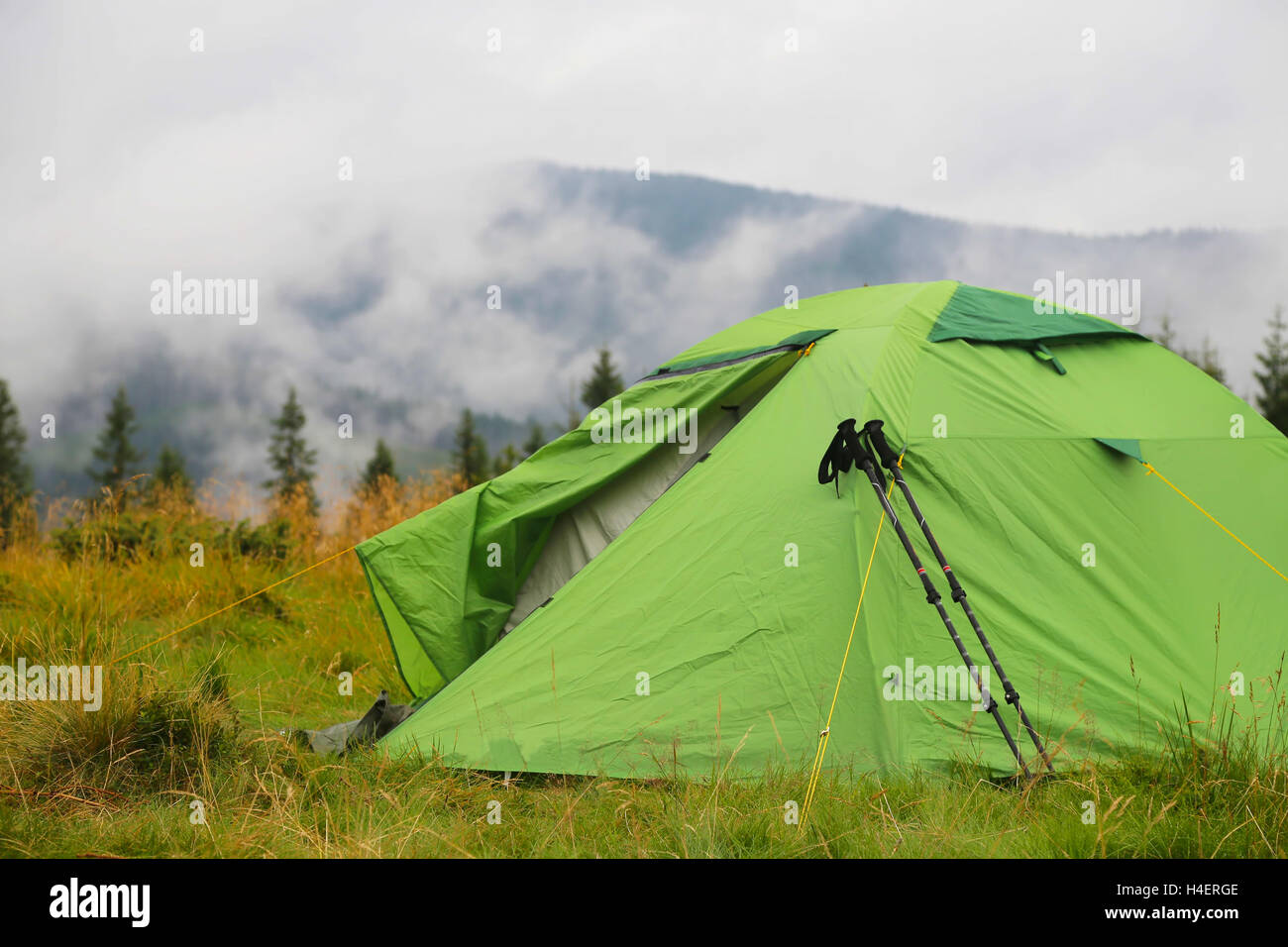 Camping tent outdoor in the nature wilderness with forest and mist ...