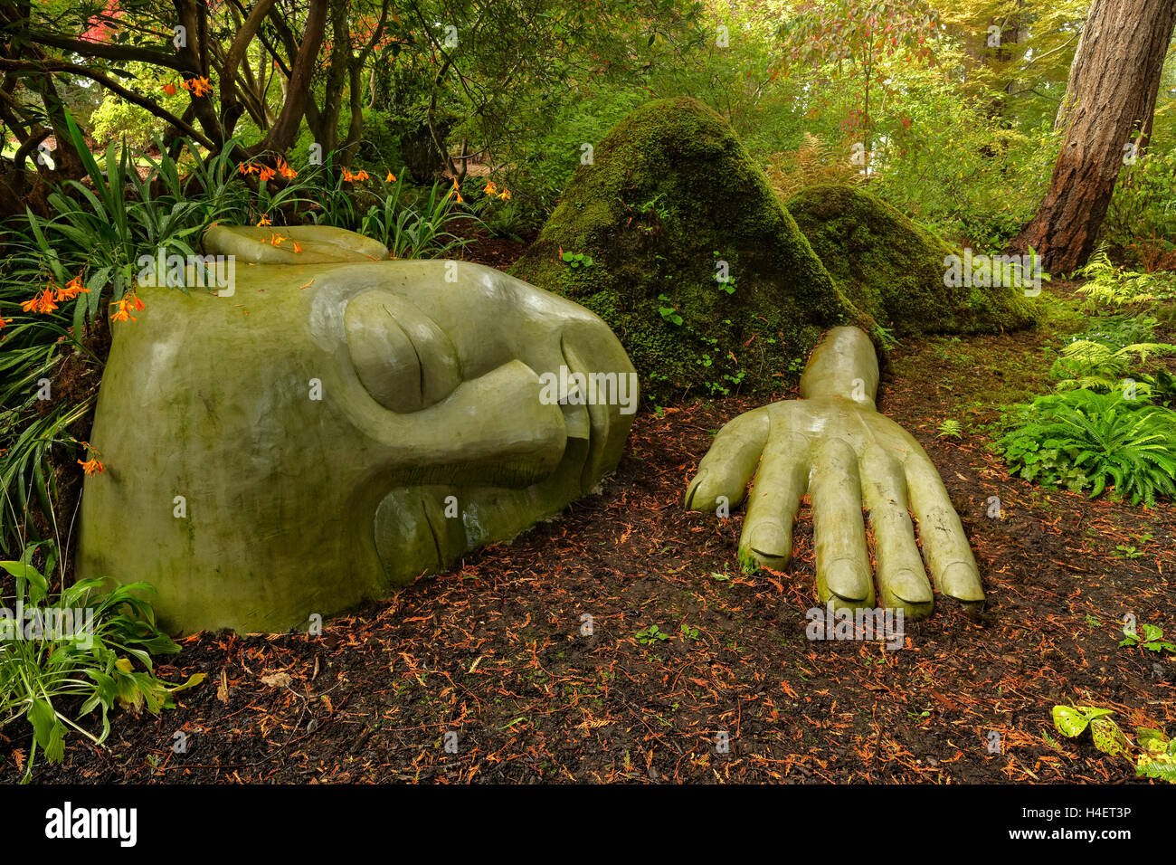 Beacon hill park hi-res stock photography and images - Alamy