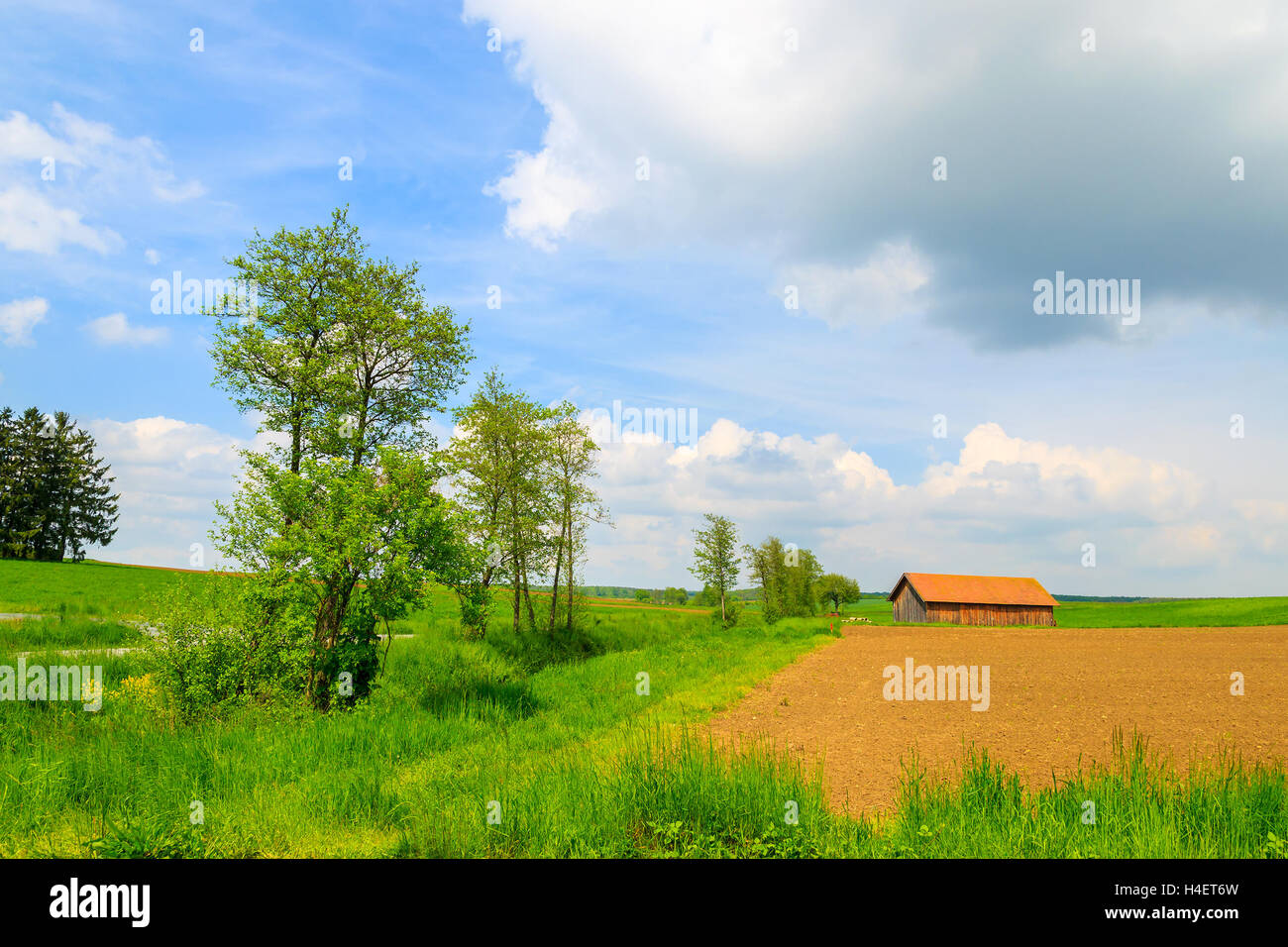 Rural landscape with farm house in background, Burgenland, southern ...