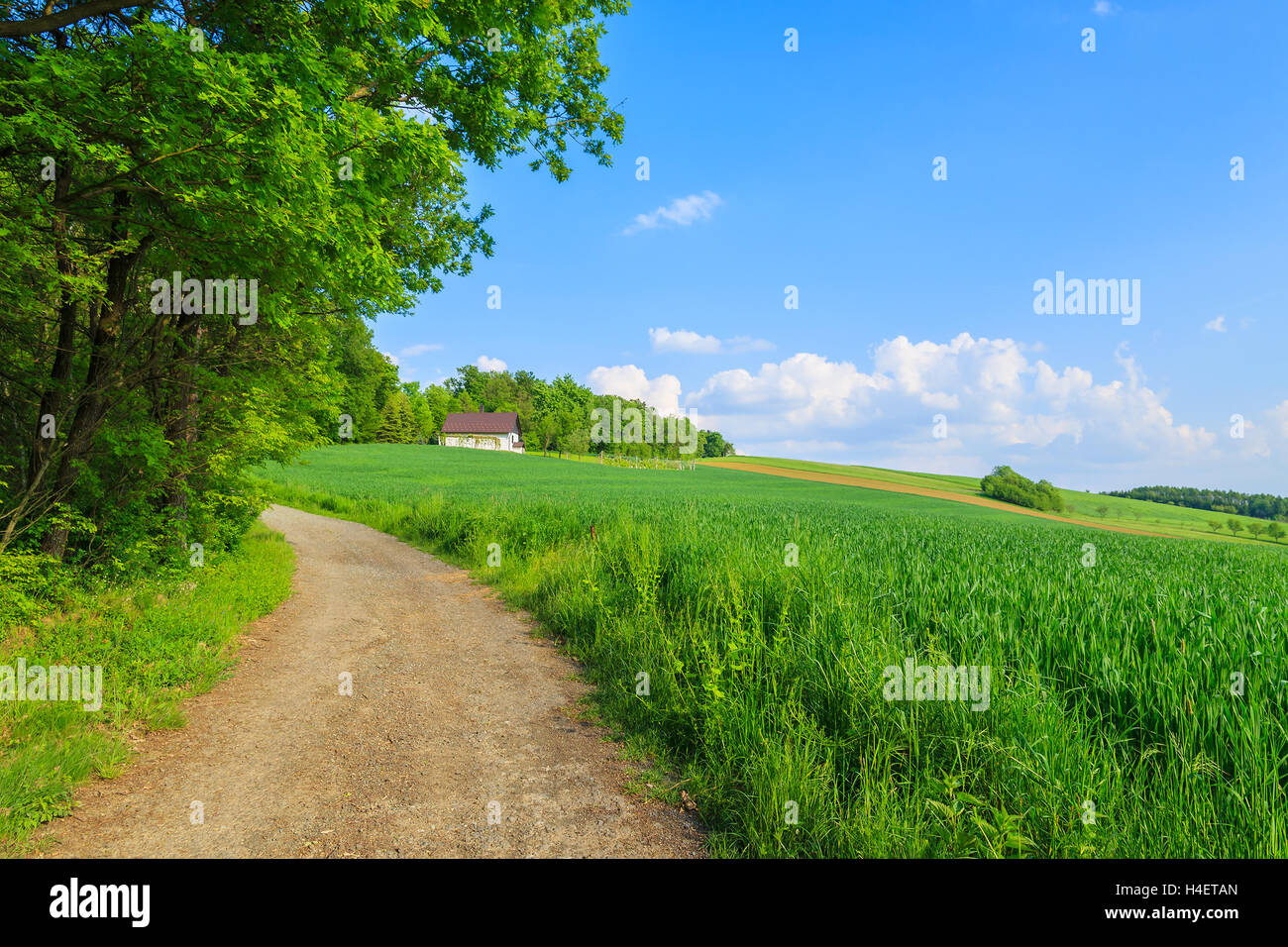 Countryside road in green field and blue sky, Burgenland, southern ...