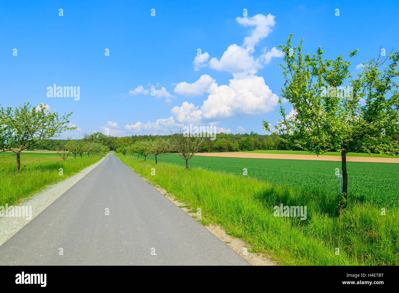 Road in farming fields with blue sky, Burgenland, southern Austria ...