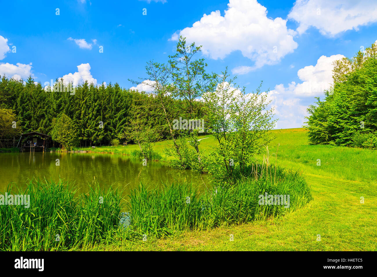 Beautiful small water lake in hi-res stock photography and images - Alamy