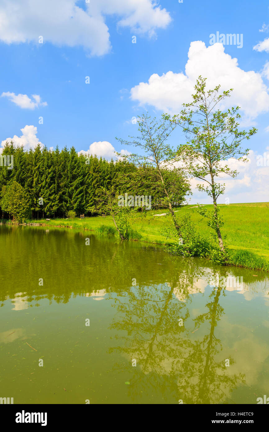 Trees by the lake in countryside landscape in spring, Burgenland ...