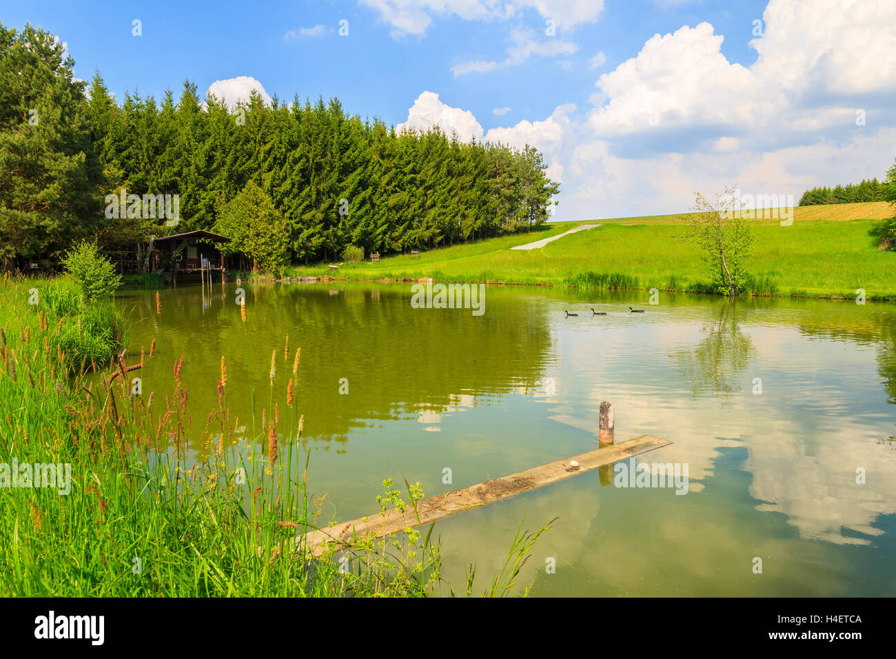 Lake in countryside landscape in spring, Burgenland, southern Austria ...