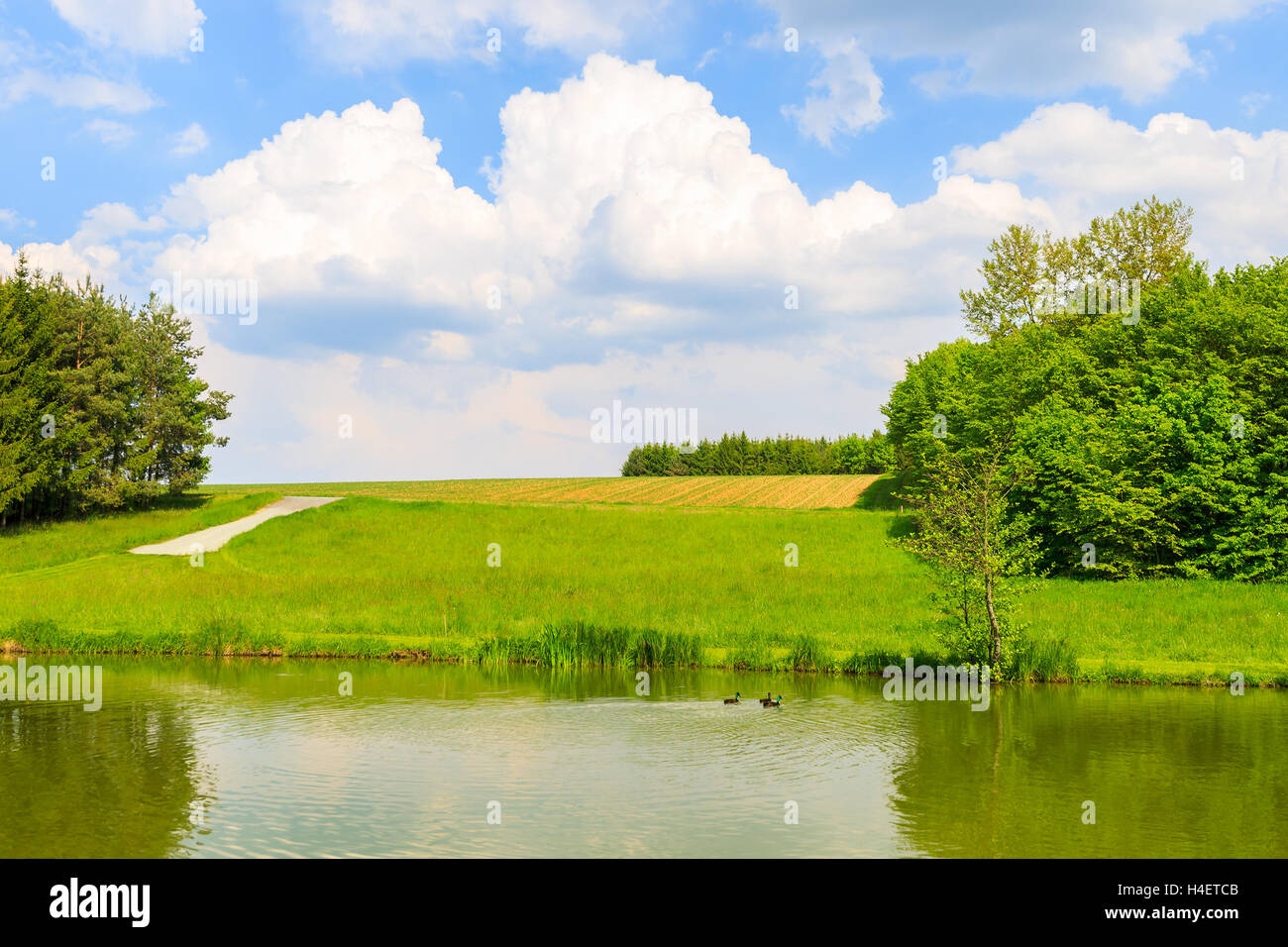 Lake in countryside landscape in spring, Burgenland, southern Austria ...