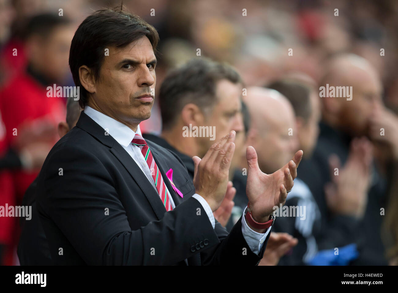 Wales football manager Chris Coleman on the touchline Stock Photo - Alamy
