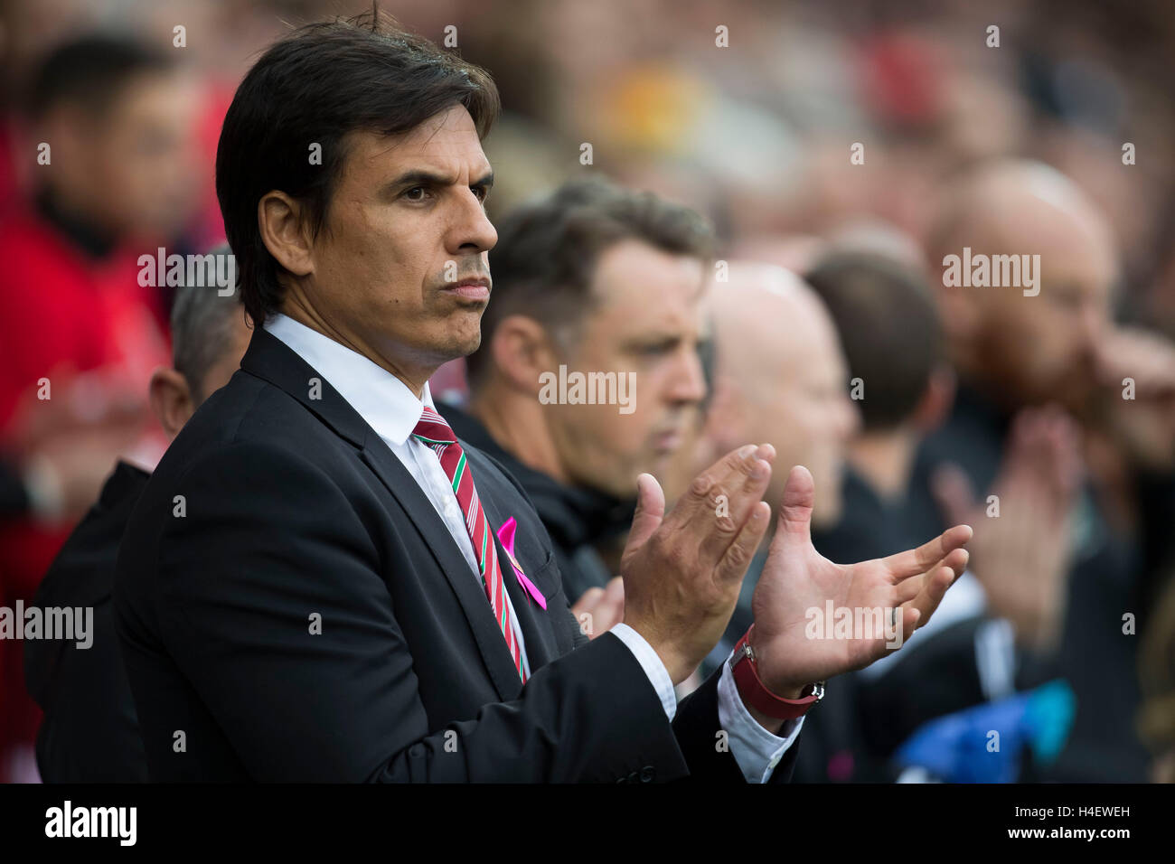 Wales football manager Chris Coleman on the touchline Stock Photo - Alamy