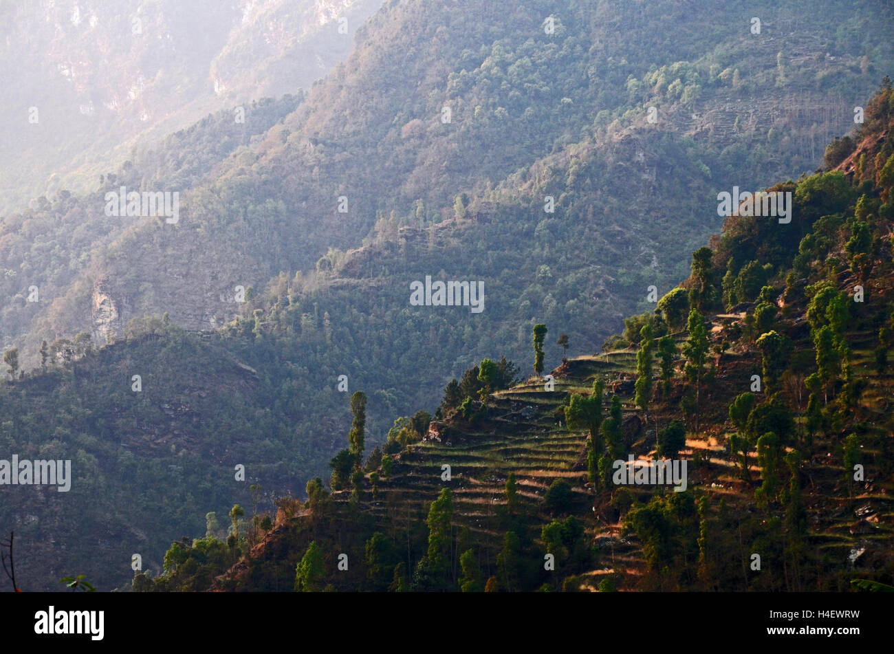 The view at dawn from Rumpur village, Solukhumbu, Nepal Stock Photo - Alamy