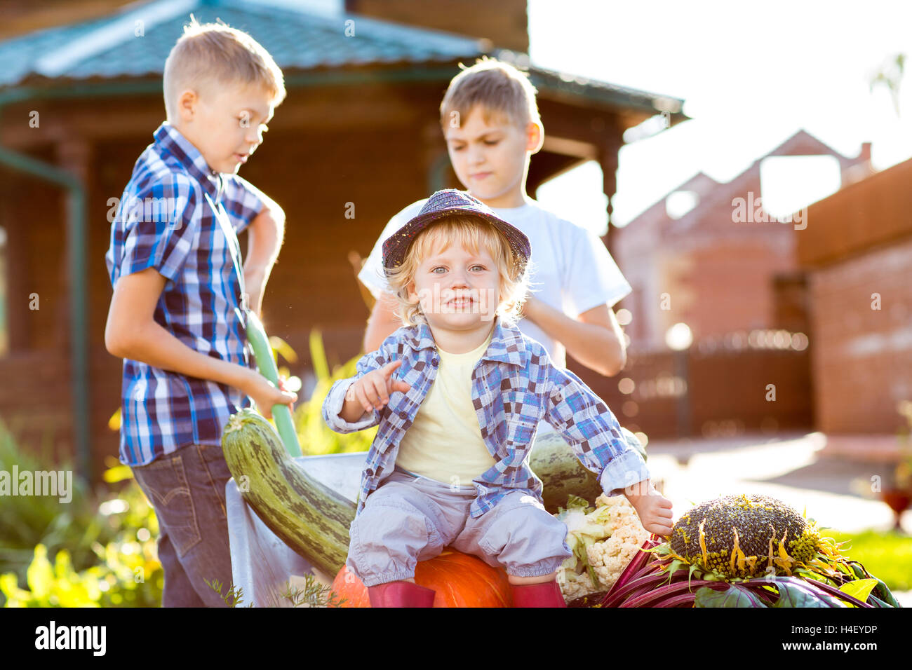 Children working in garden. Kids harvesting in autumn Stock Photo - Alamy