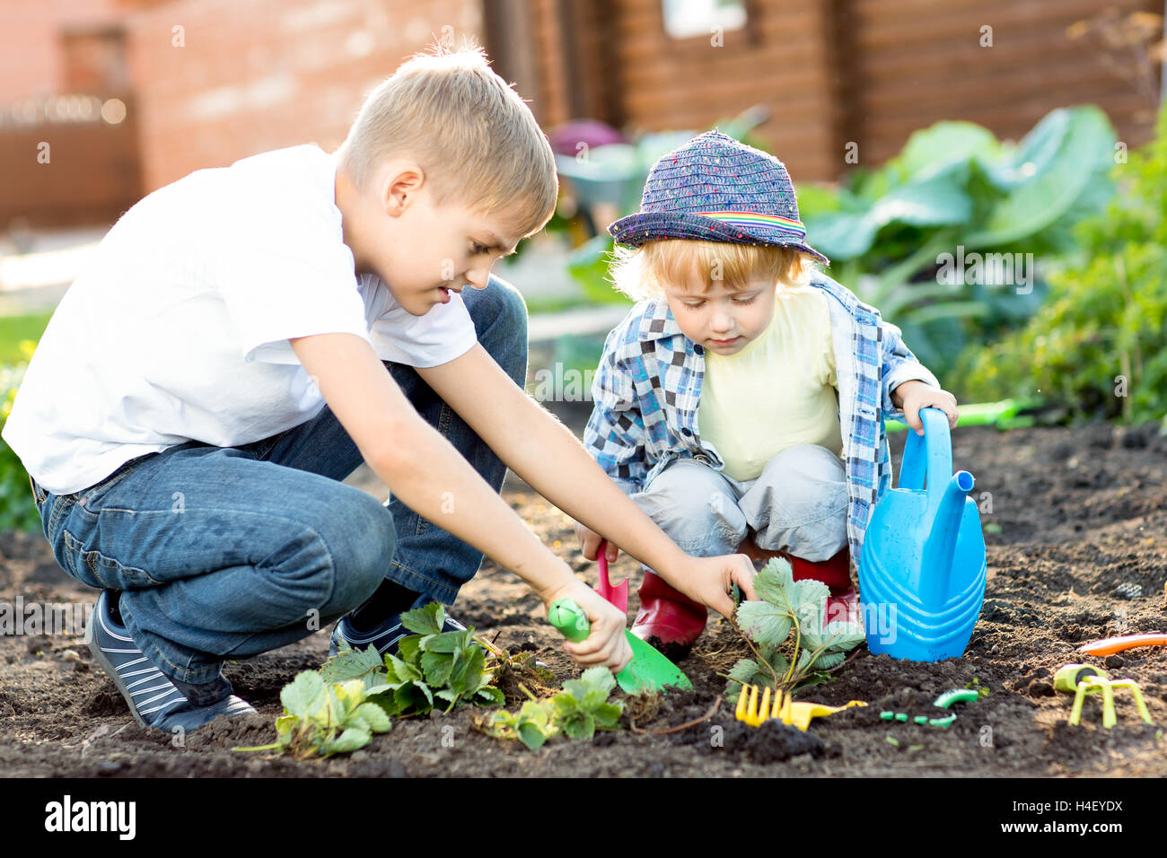 Children dig soil backyard hi-res stock photography and images - Alamy