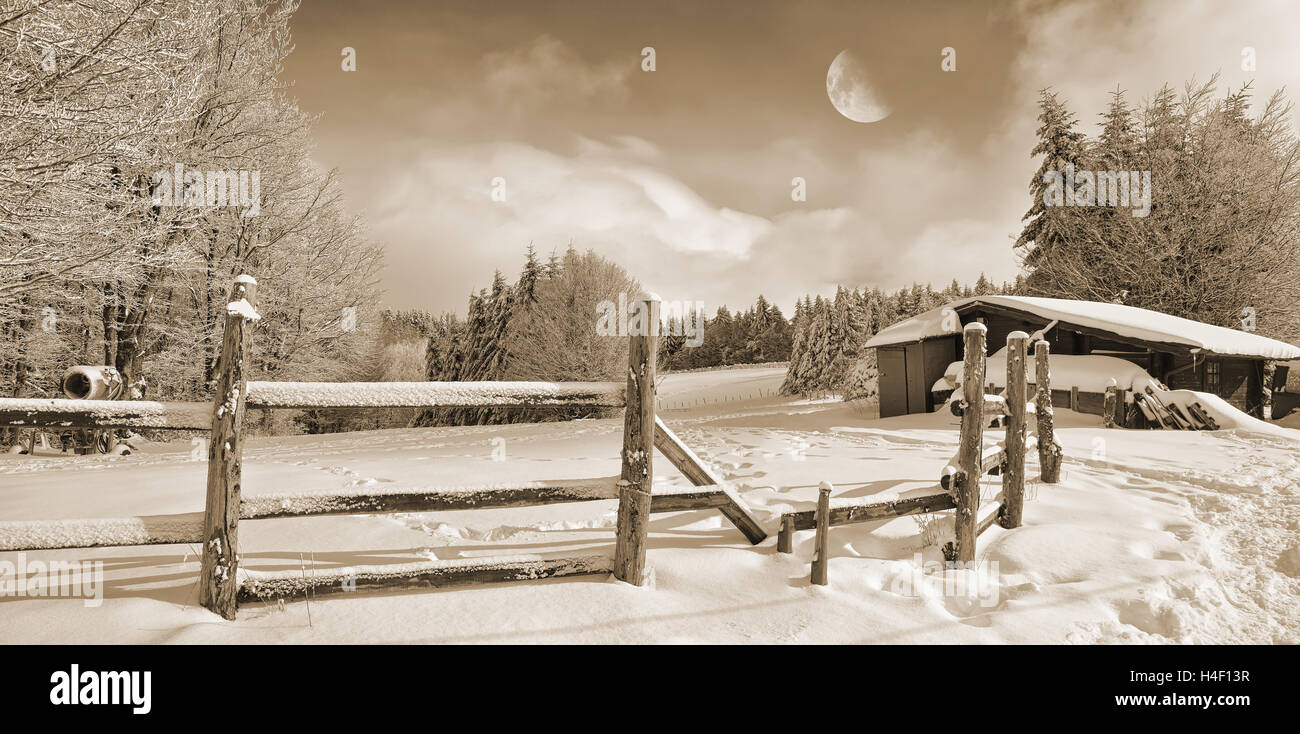 Moonlight forest snow hi-res stock photography and images - Alamy