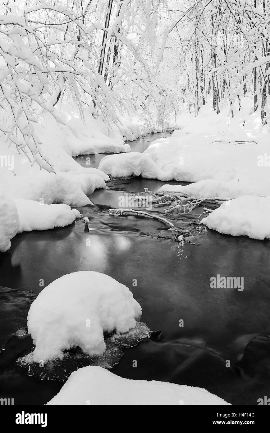 Mountain forest stream trees Black and White Stock Photos & Images - Alamy