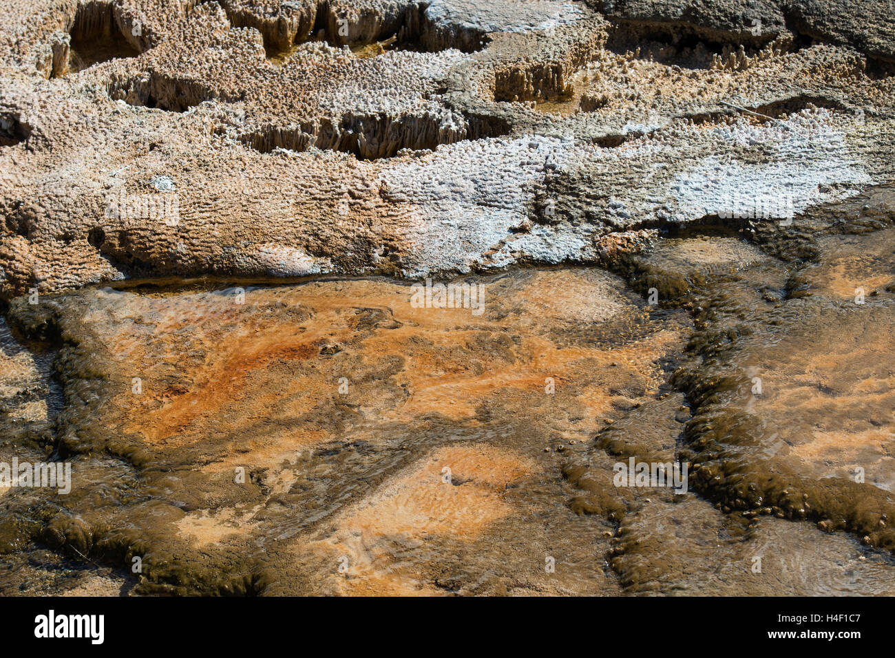 Biscuit basin hot springs hi-res stock photography and images - Alamy