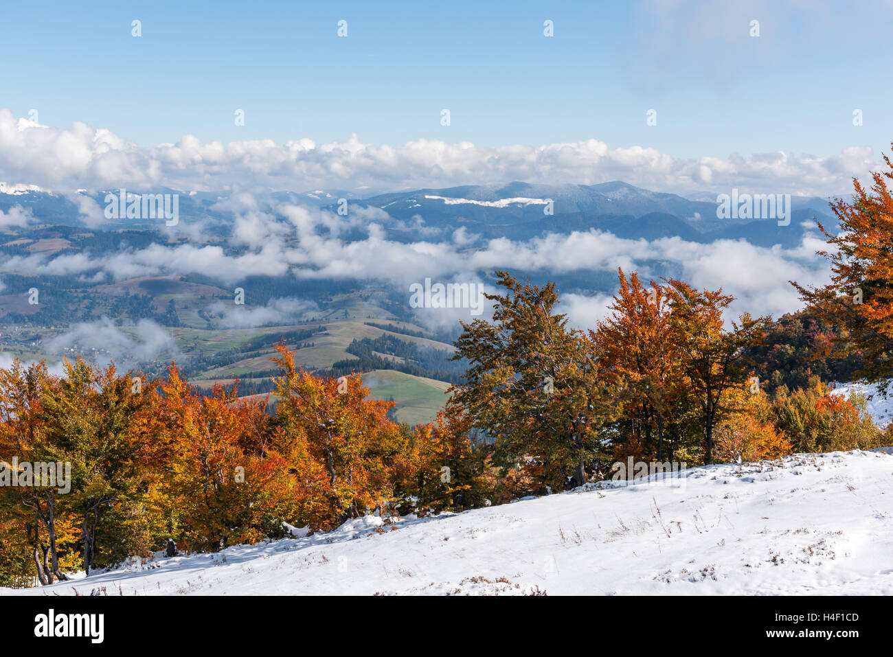 First fall of snow hi-res stock photography and images - Alamy