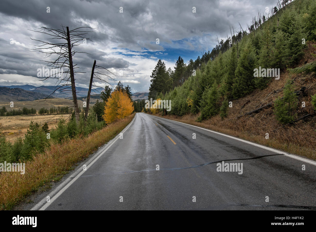 Yellowstone roads hi-res stock photography and images - Alamy