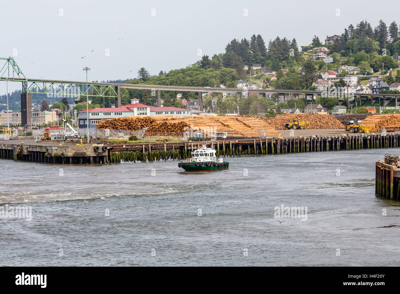 Many trees and logs stacked at a lumber operation on the Oregon coast ...