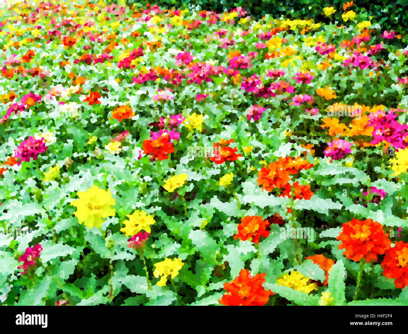 The zinnia flower is one of the most exuberant flowers you will want to ...