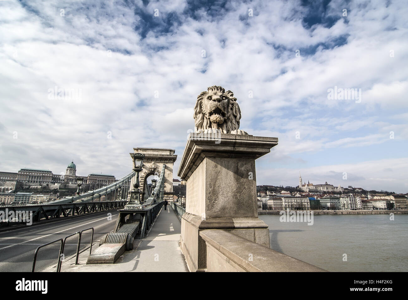 Hungary chain bridge lion hi-res stock photography and images - Alamy