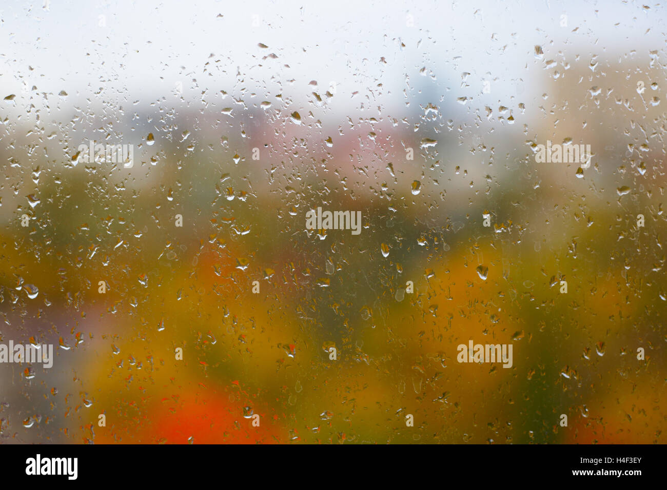 Rain drops on wondow glass and colorful autumn trees on background ...