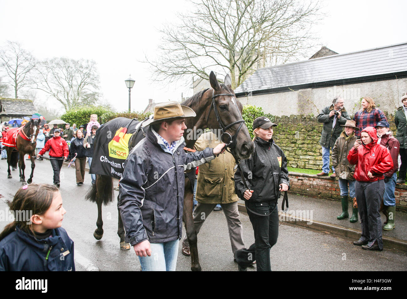 Denman,Gold Cup winner,Winning horses from Cheltenham Festival from ...