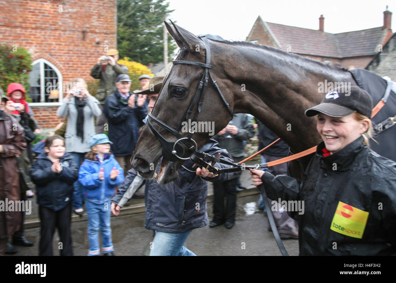 Denman,Gold Cup winner,Winning horses from Cheltenham Festival from ...