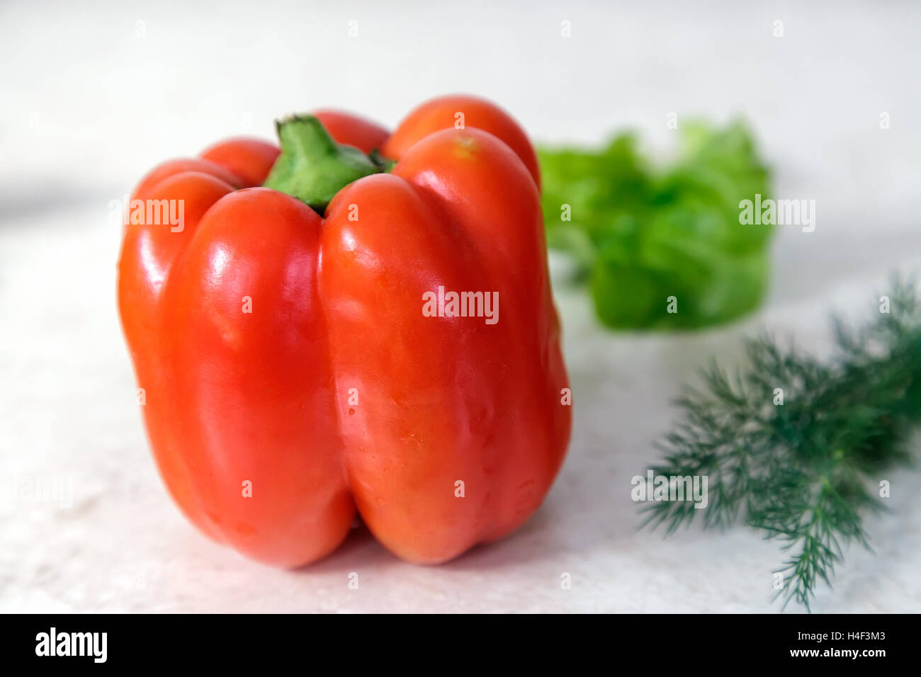 The fruit of red bell pepper next to the dill and parsley leaves ...