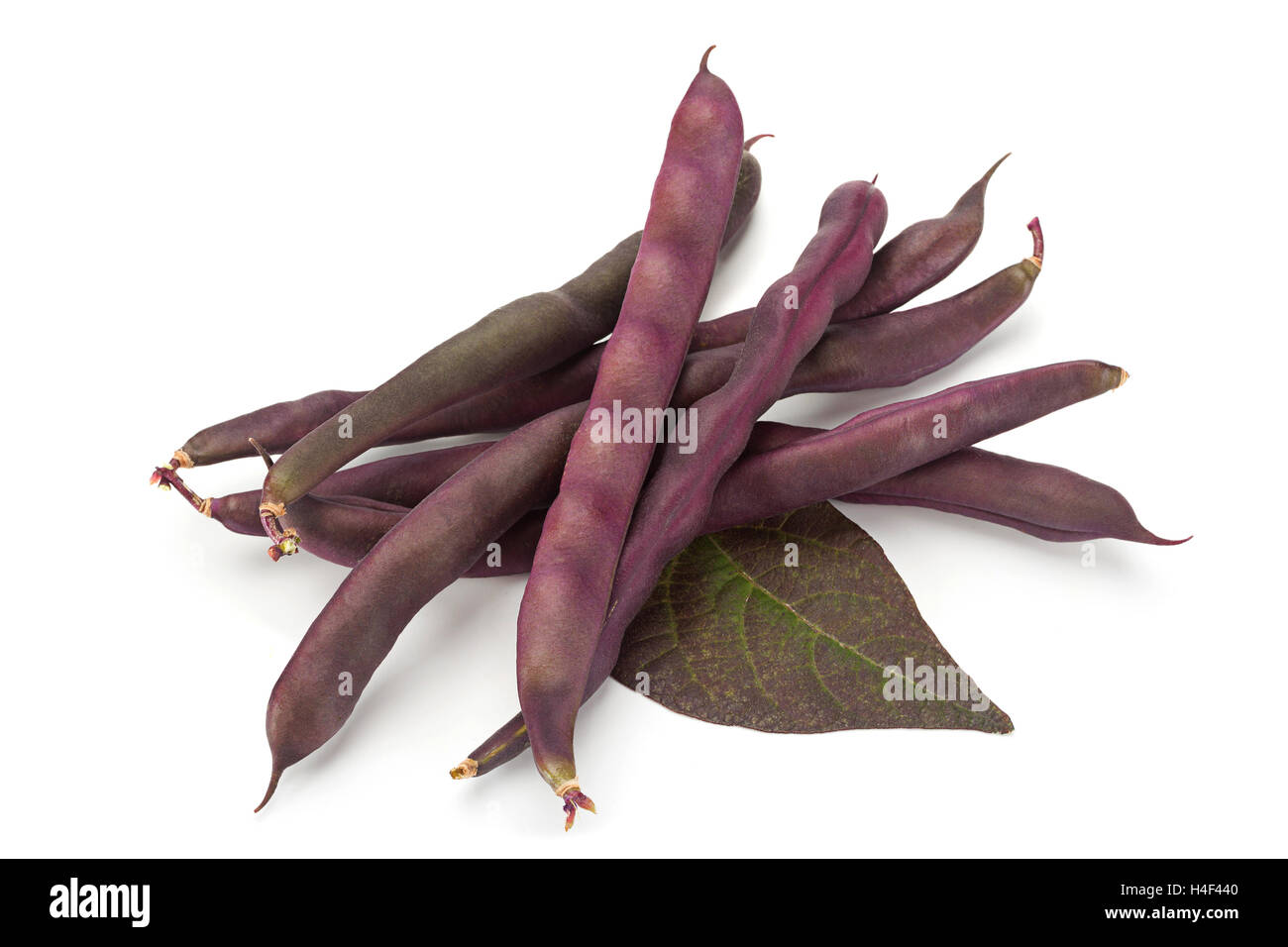 Purple bean closeup isolated on white background Stock Photo - Alamy