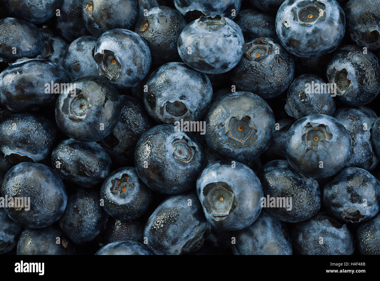 Blueberries berry closeup background with water drop Stock Photo - Alamy