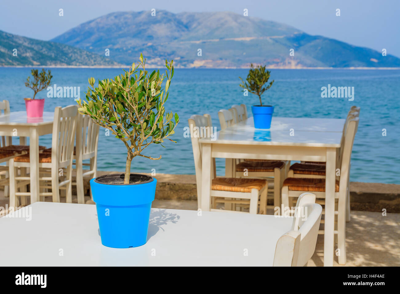 Greek pot plant hi-res stock photography and images - Alamy