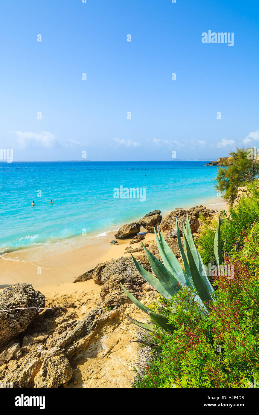 Turquoise sea at sandy Lassi beach on Kefalonia island, Greece Stock ...