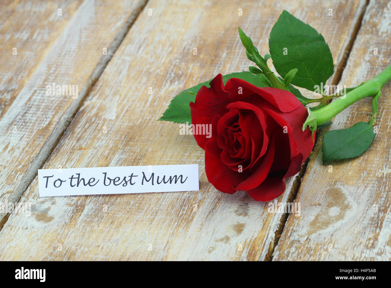 To the best mum card with one red rose on rustic wooden surface Stock ...
