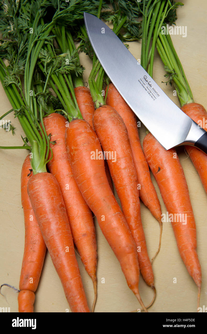 Raw carrots with a knife and carrots cooking in a shallow frying pan. a ...