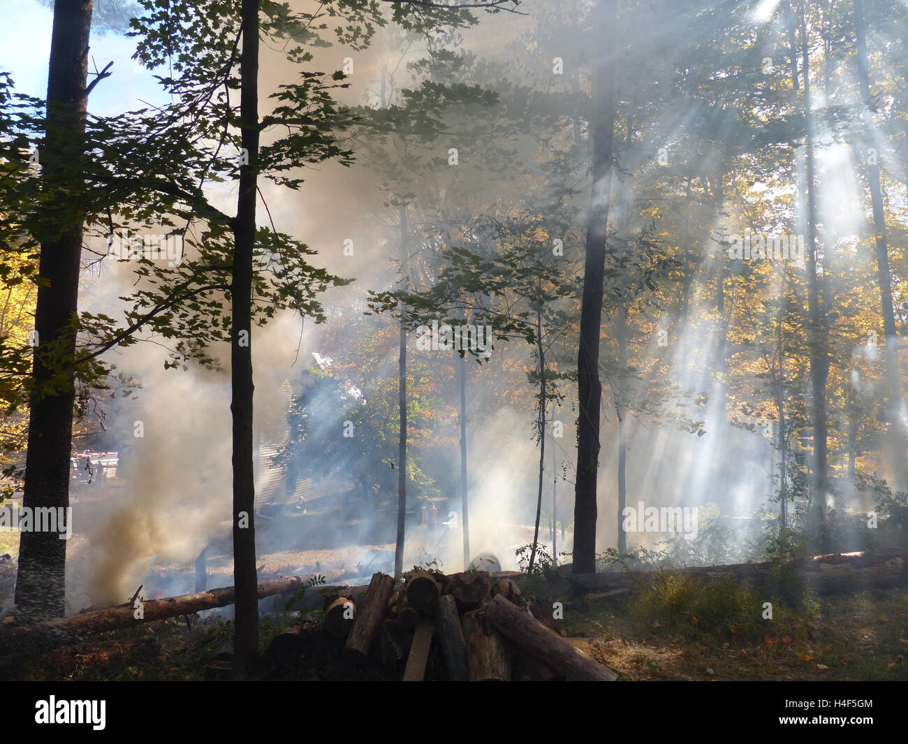 Forest fire caused by tipped barbecue Stock Photo - Alamy