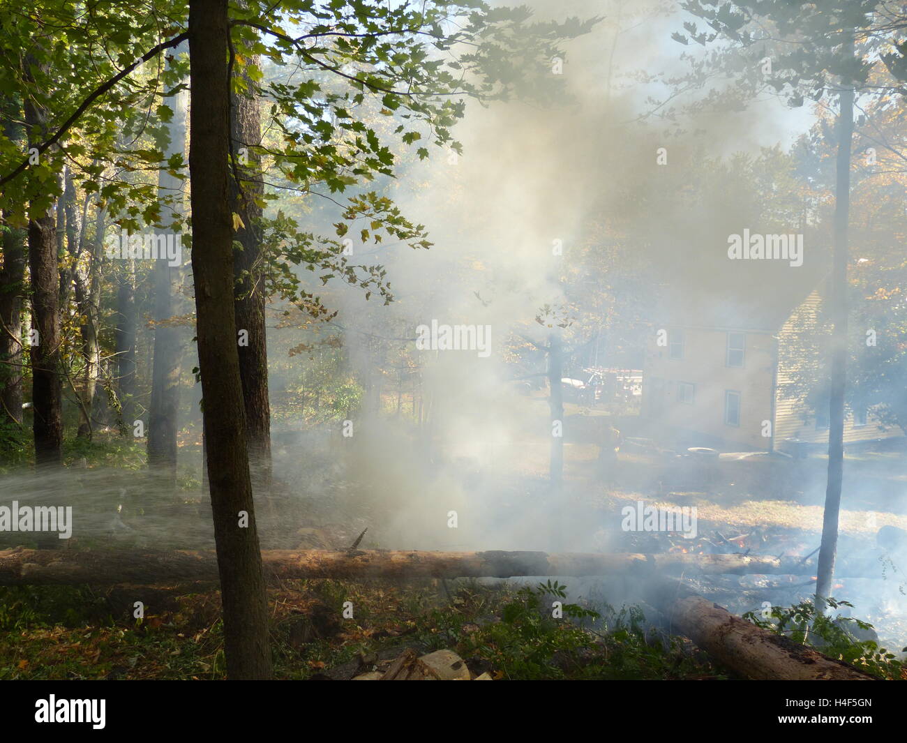 Forest fire caused by tipped barbecue Stock Photo - Alamy