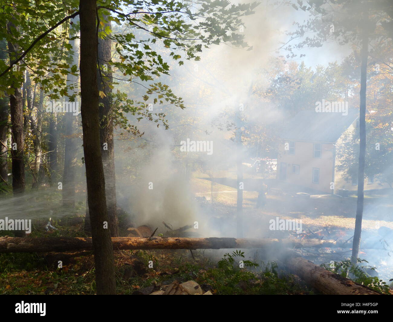 Forest fire caused by tipped barbecue Stock Photo - Alamy