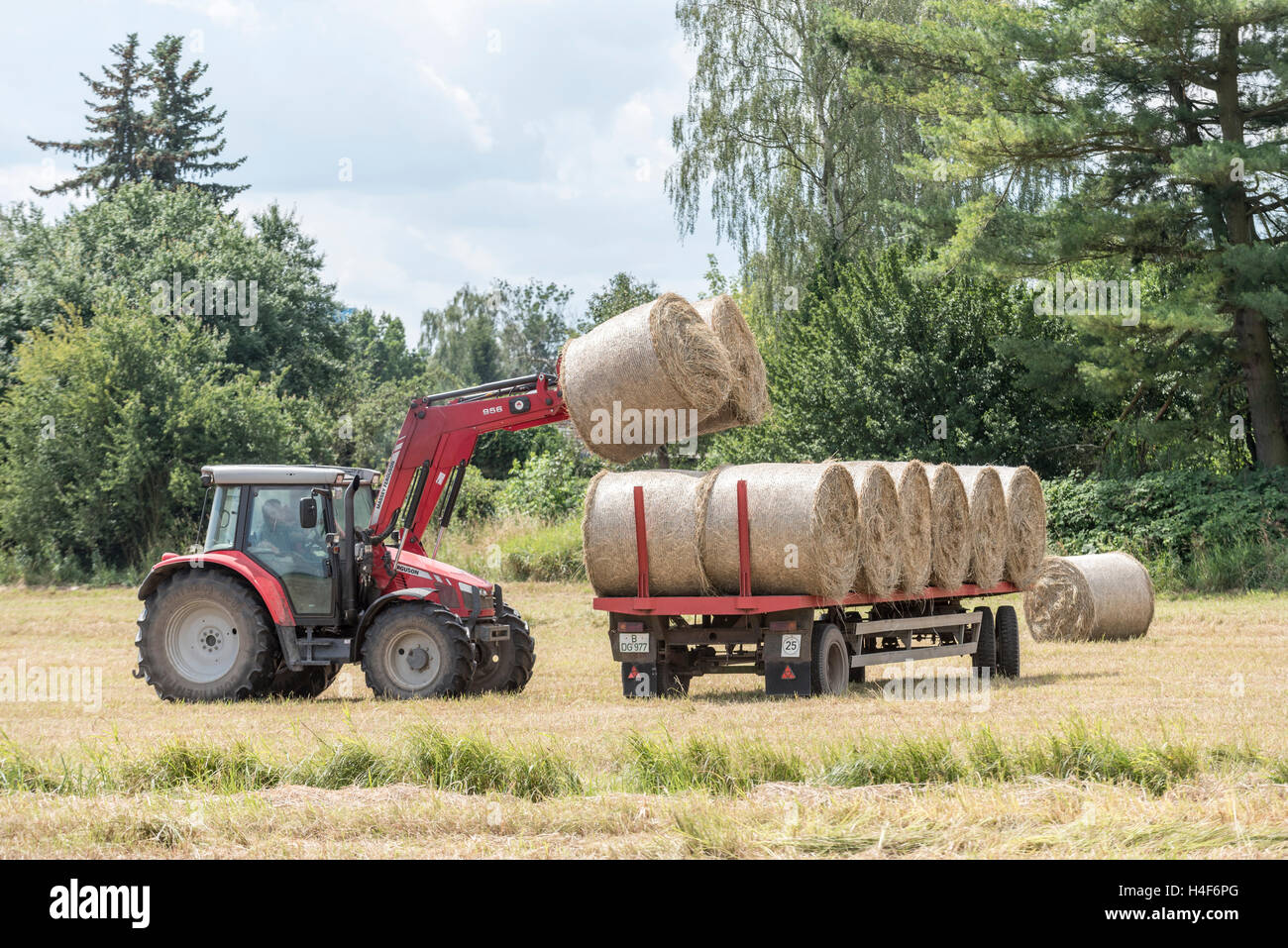 Stacking hay hi-res stock photography and images - Alamy